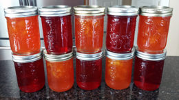 Beet Jelly | My Everchanging Garden