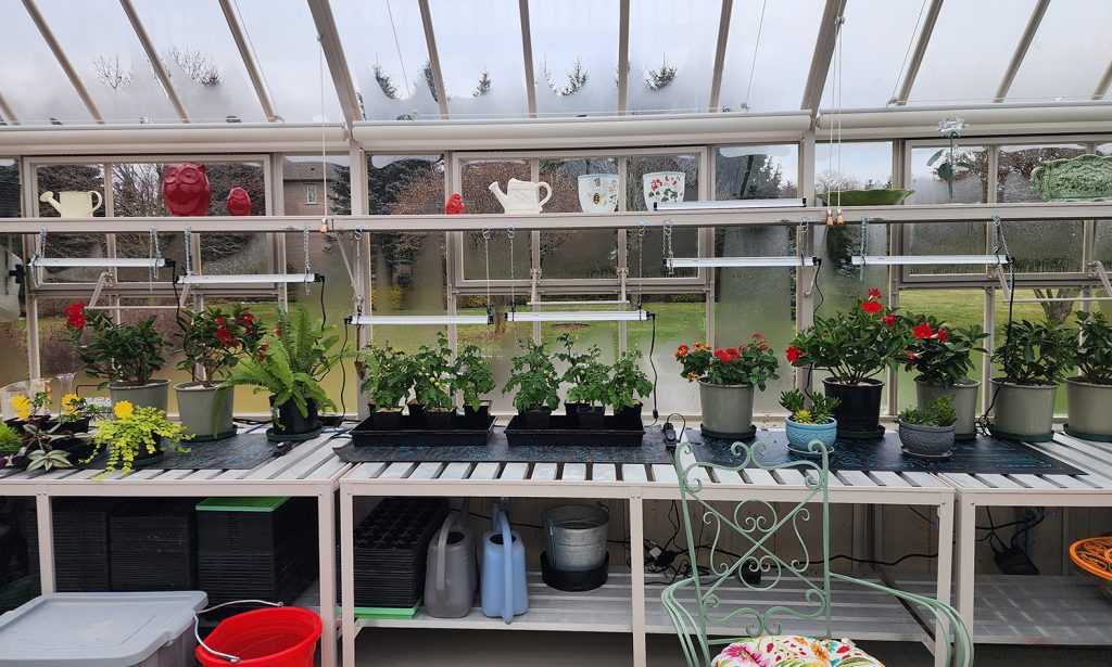 Germination Stations – Heat Mats and Grow Lights – My Everchanging ...